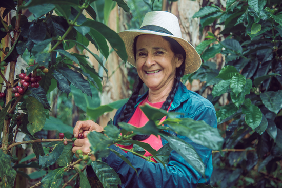 Rockin' Coffee – Rockin' Brands